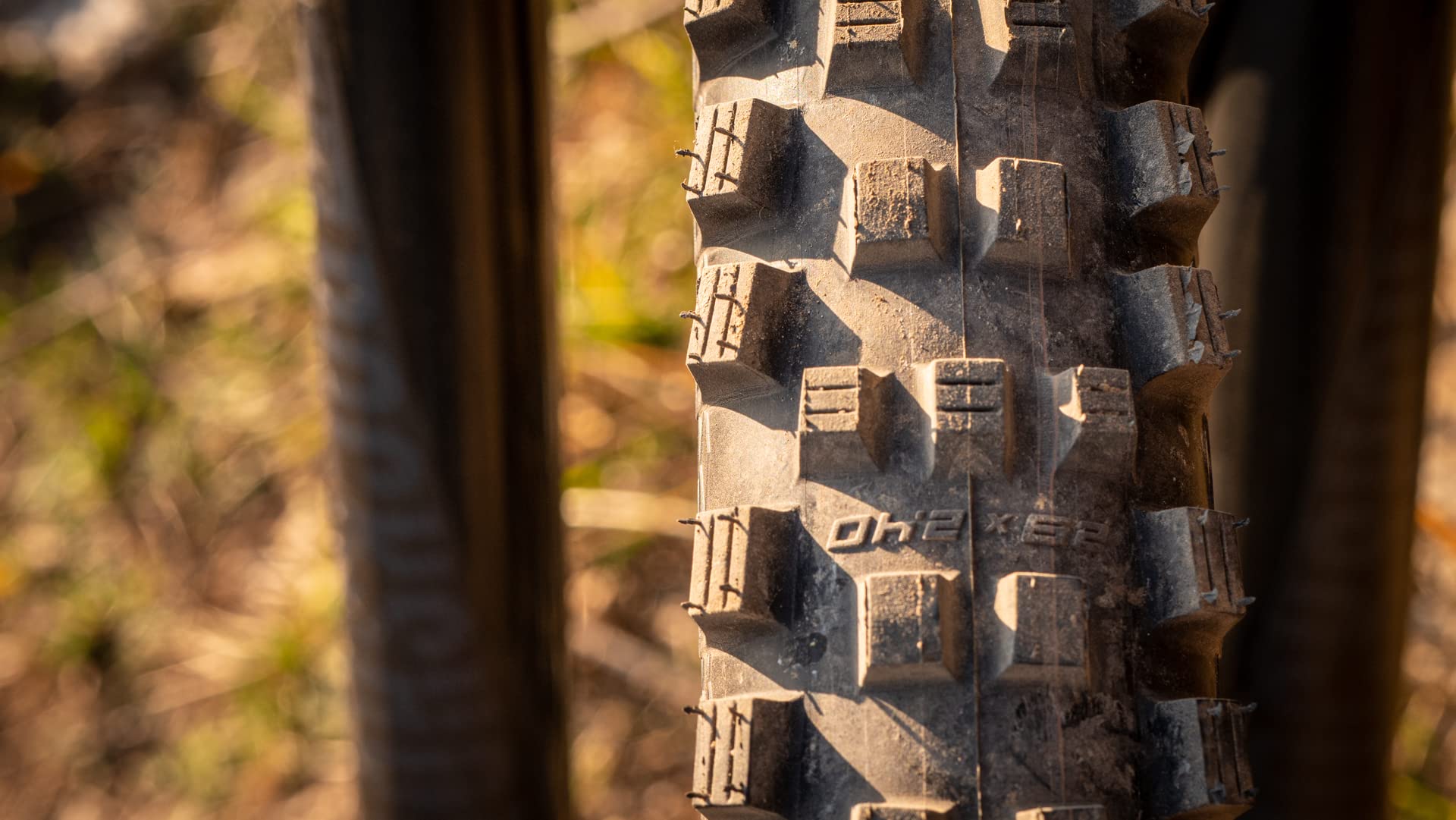Schwalbe Unisex's Big Betty Perf, BikePark Tyres, Black, 62-622