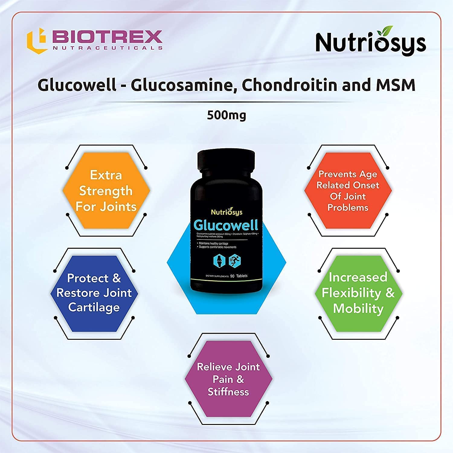 Natrol Glucosamine Chondroitin MSM 90 Tablets