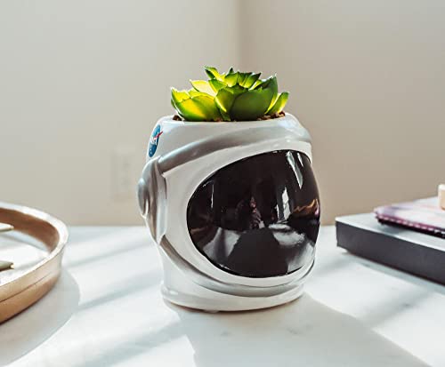 Silver Buffalo NASA Astronaut Decorative Artificial Faux Greenery Plant in Ceramic