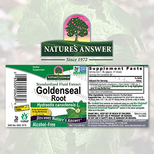Nature's Answer Goldenseal Root | Herbal Supplement | Supports A Healthy Immune System | Gluten-Free & Alcohol-Free 1oz