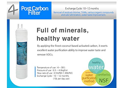 PicoGram Coconut-Based Post-Carbon Under-Sink Water Filter 8" 11" (8" (19.5cm))