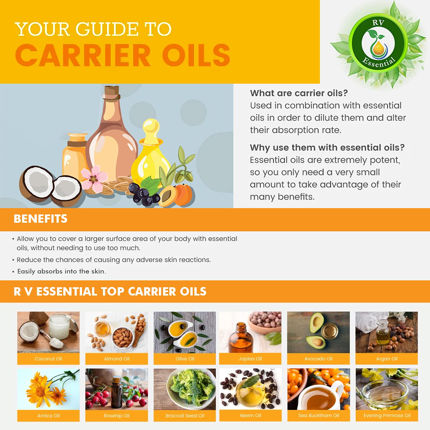 R V Essential Pure Black Currant Carrier Oil 100ml (3.38oz)- Ribes Nigrum (100% Pure and Natural Cold Pressed)