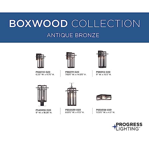 Progress Lighting Boxwood Collection 1-Light Clear Seeded Glass Craftsman Outdoor Medium Wall Lantern Light Antique Bronze , 14.13x7.63x7.63