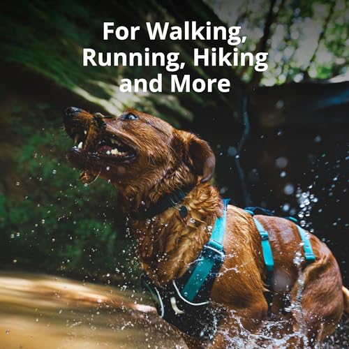 Ruffwear, Flagline Dog Harness, Lightweight and Reflective, No Pull Dog Lift Harness for Hiking, Running and Everyday Use, Red Rock, Large/X-Large