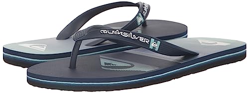 Quiksilver Men's Molokai Art Flip Flop Sandal, Blue/Blue/Green 233, 11