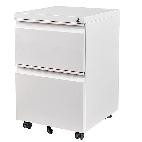 SISESOL 2 Drawer File Cabinet with Lock, Under Desk Metal Filing Cabinet for Home Office,Lockable Rolling File Cabinet with 2 Keys for Legal/Letter/a4 Size