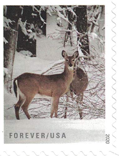 USPS Forever Stamps Winter Scenes - Book of 20 Postage Stamps