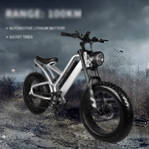 Wonzoneddzxc Electric Bicycles 20 Inch Electric Bicycle Variable Speed Off-Road Booster with Removable Electric Mountain Bike