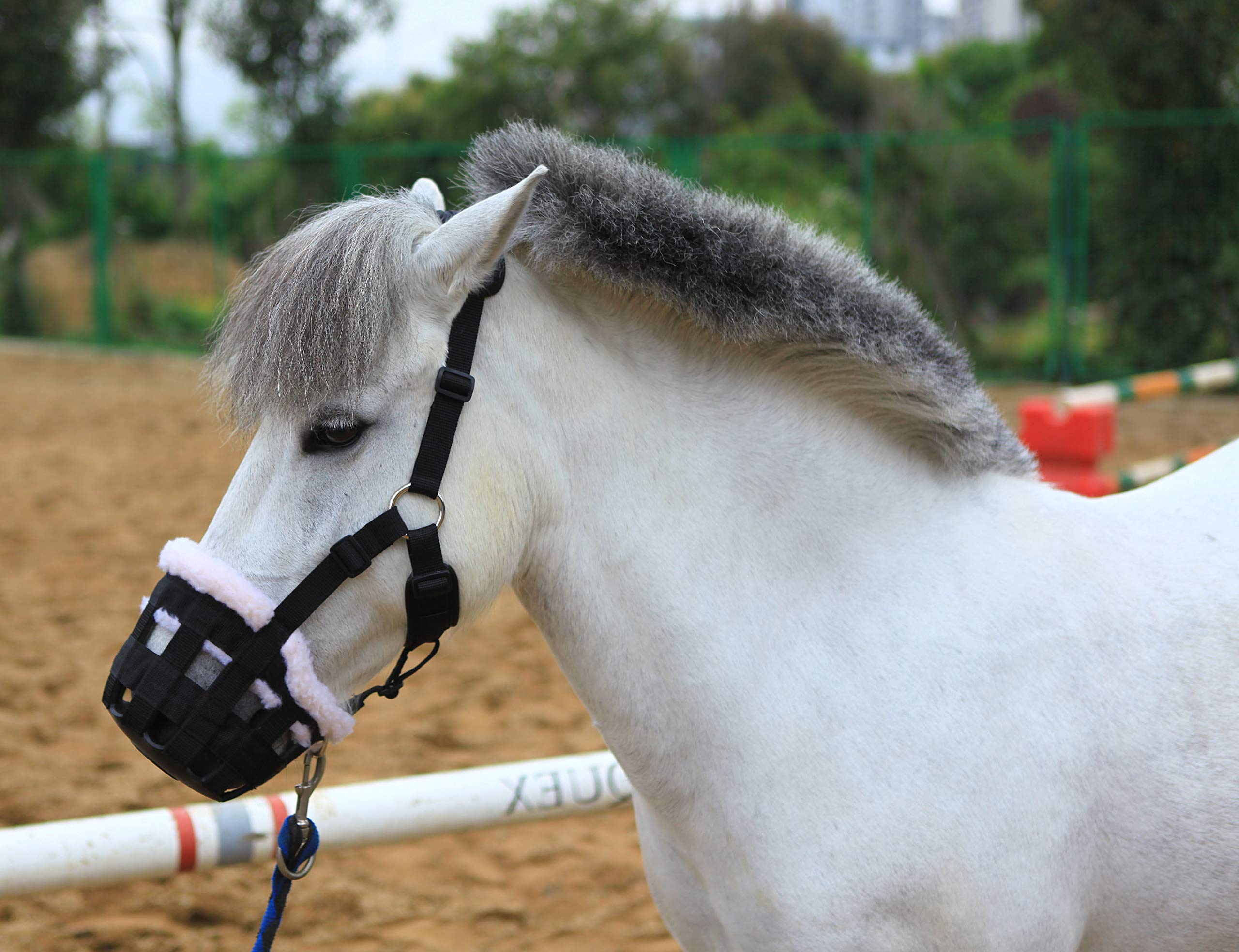 T TEKE Deluxe Horse Grazing Muzzle Fleece Fur Lined Around, Full Adjustable with Neoprene Cushion pad on Crown & Chin for Comfort
