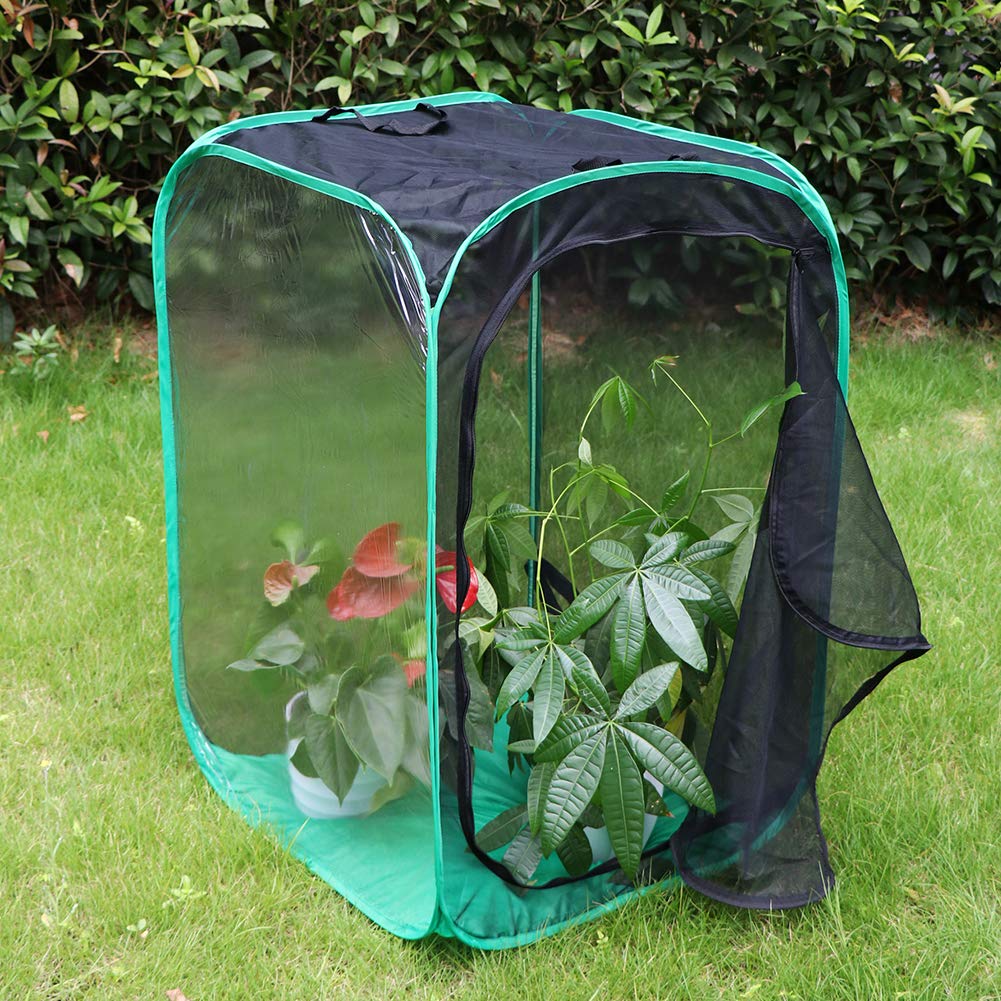 RESTCLOUD 36" Large Monarch Butterfly Habitat, Giant Collapsible Insect Mesh Cage Terrarium Pop-up 24 x 24 x 36 Inches