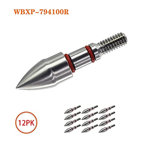 Stainless Steel Archery Field Points 100 Grains Easy Pull Various OD Screw in Archery Field Tips Combo Point 100grains (Bullet Point 5/16"-100gr-12pk)