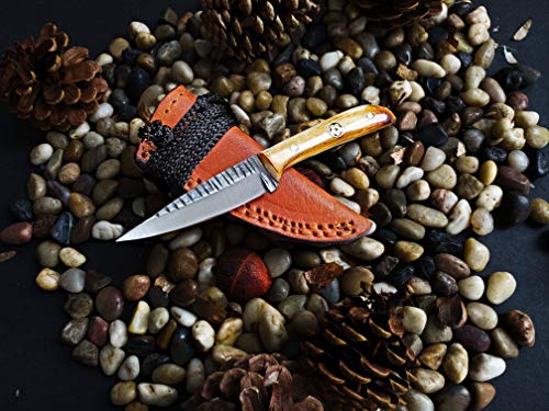 Titan International Knives Carbon Steel Skinning Knife TC-30 | Utility Neck Knife EDC | Leather Sheath with Neck String