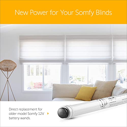 somfy 12V DC Reloadable Battery Tube - 12V Battery Wand for RTS Motors - Easy to Install - Power Blinds & Shades - Replacement Battery Tube β Wall Mount Clips Included #9018685