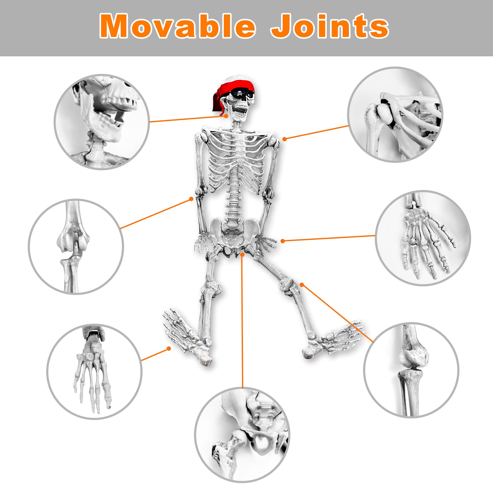 Skeleton Halloween Decor, 36'' Full Body Skeleton with Movable Joints, Posable Halloween Skeleton Decorations, Perfect for Haunted House Lawn Graveyard Yard Outdoor Indoor Party