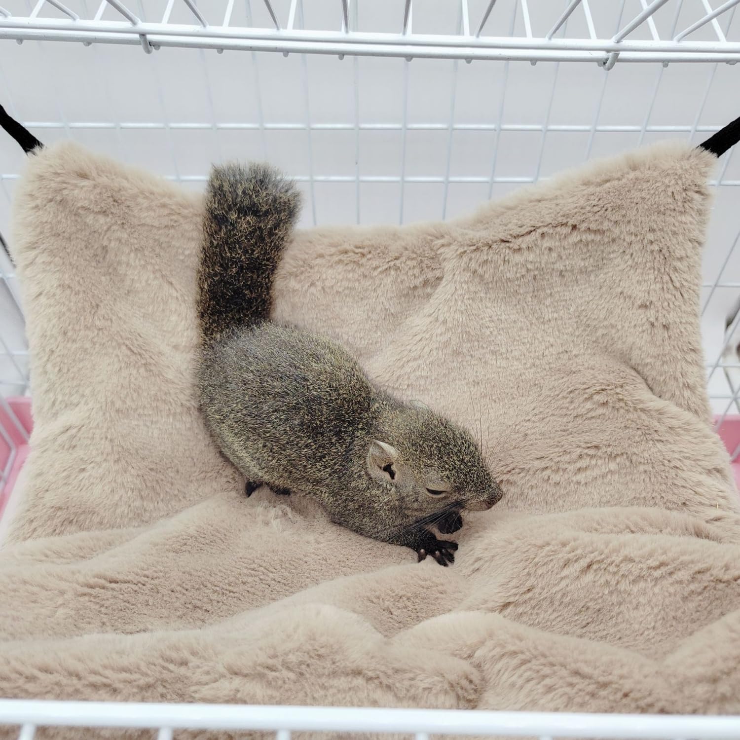 Petcircle Guinea Pig Rat Hammock 2pcs, Pet Cage Hammock X2 for Small Animals Squirrel Squirrel Chinchilla Kitten Small Animals House Cage (khaki)