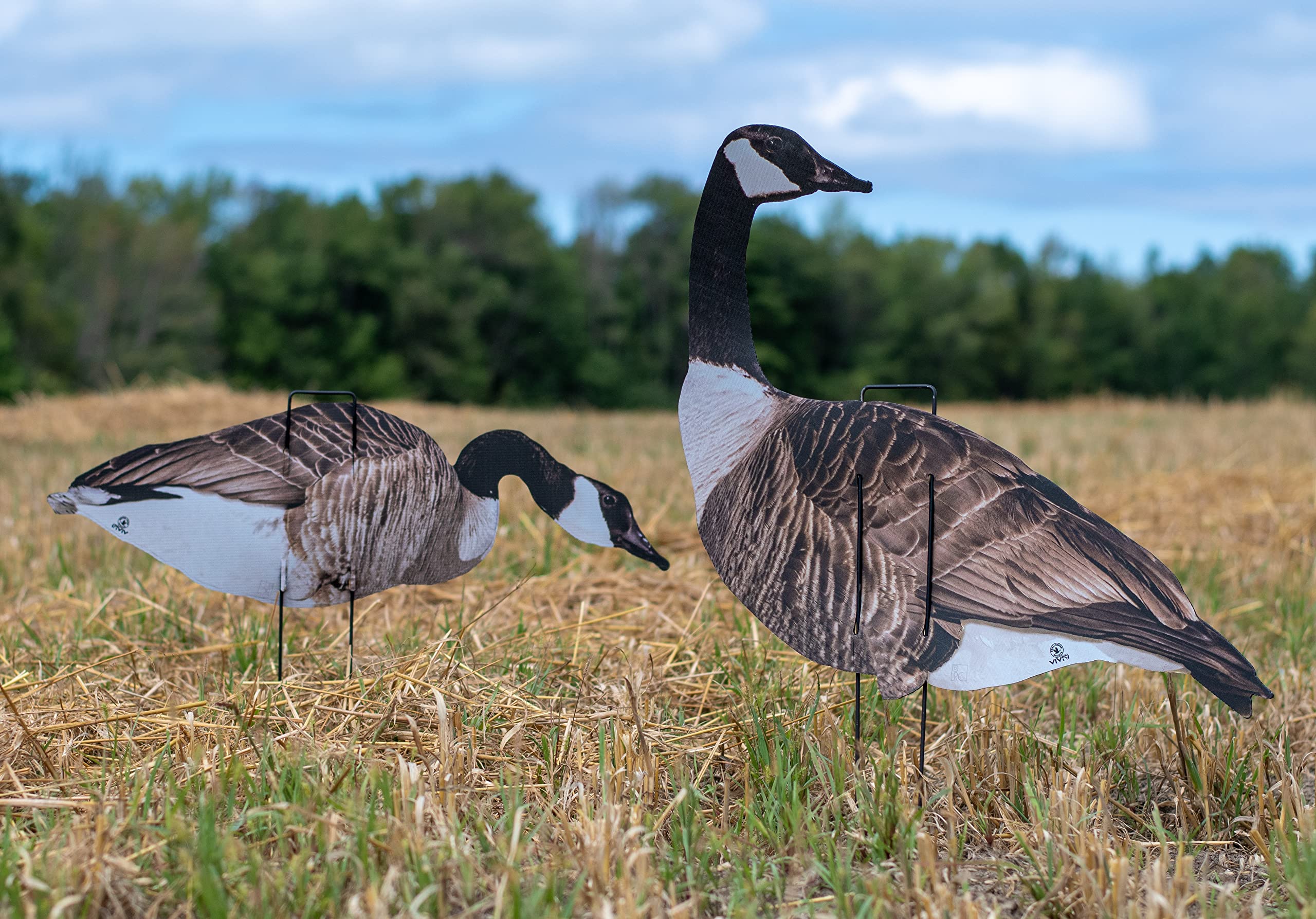 Real-Geese 1 Doz Vivid Series Silhouette Decoys
