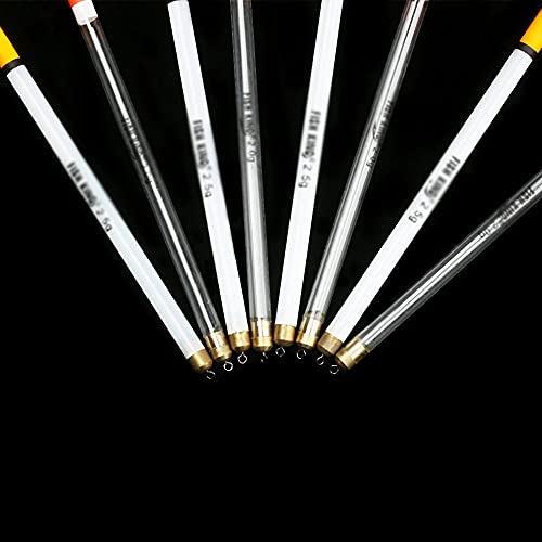 YDXNY 10Pcs 2.0/3.0g Plastic Flotteur Buoy Clear Fishing Floats Floating Stem Tubes Kits Tackle Accessories (Size : Transparent -3.0)
