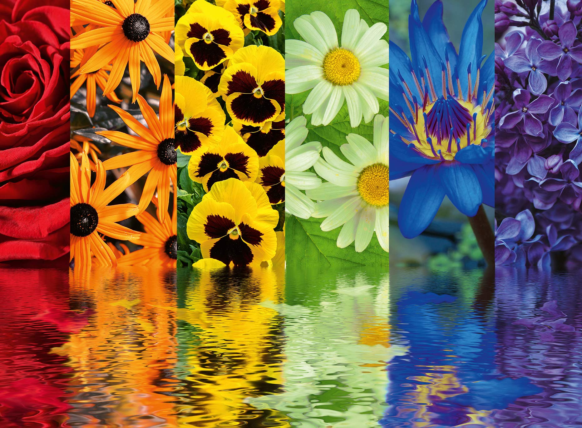Ravensburger 16446 Floral Reflections 500 Piece Puzzle for Adults - Every Piece is Unique, Softclick Technology Means Pieces Fit Together Perfectly