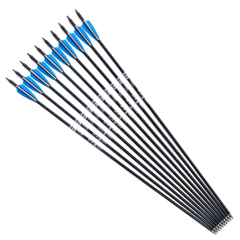 Tiger Archery 30inch Fiberglass Arrow with Replaceable Arrowhead Spine 500 for Recurve and Compound Bow Hunting and Practice Hunting (Black White, 30)
