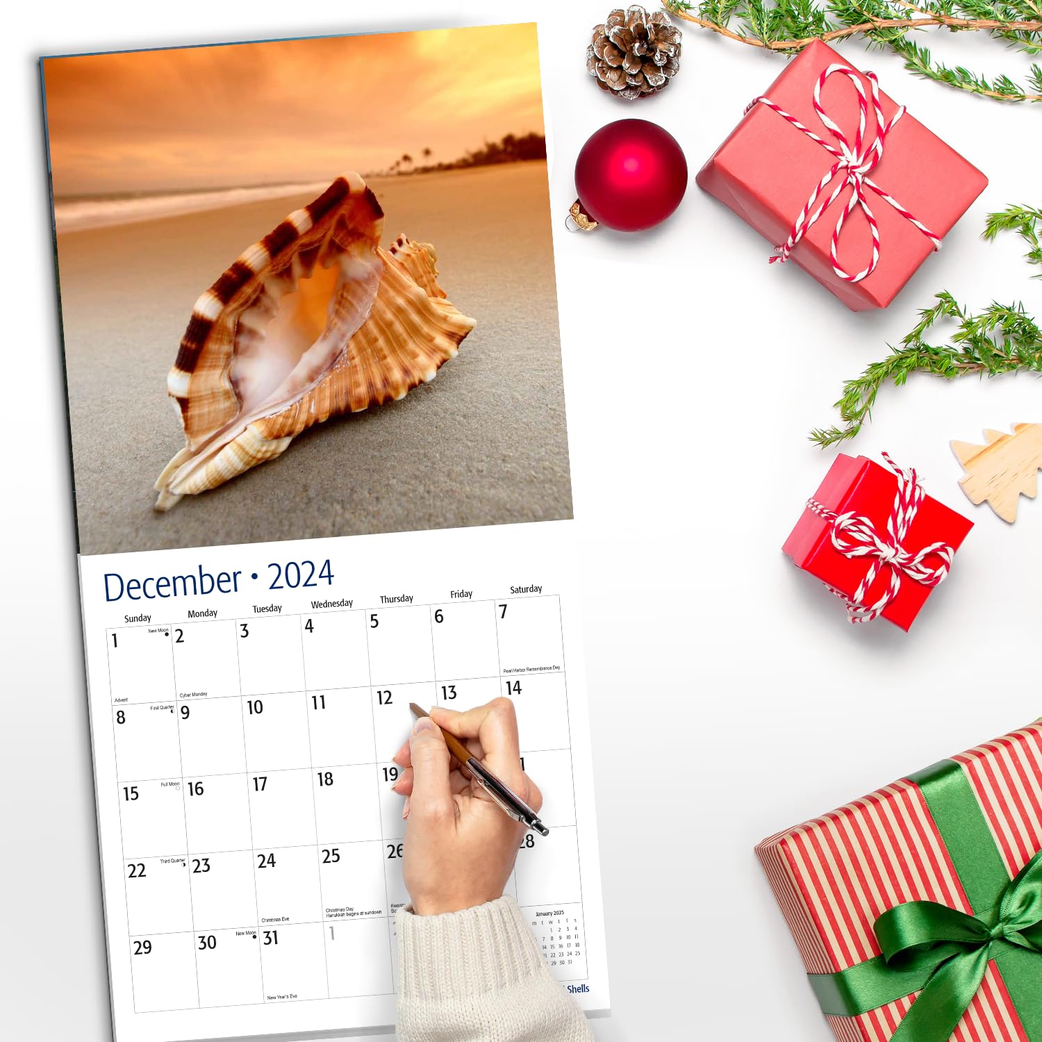 RED EMBER Sand and Shells 2024 Hangable Monthly Wall Calendar | 12" x 24" Open | Thick & Sturdy Paper | Giftable | Beautiful Beaches Nature | Seashells by the Seashore