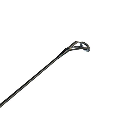 Shimano Inc. TERAMAR XX SE X70 M SPN
