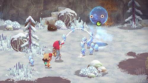 The Wild at Heart (Nintendo Switch)