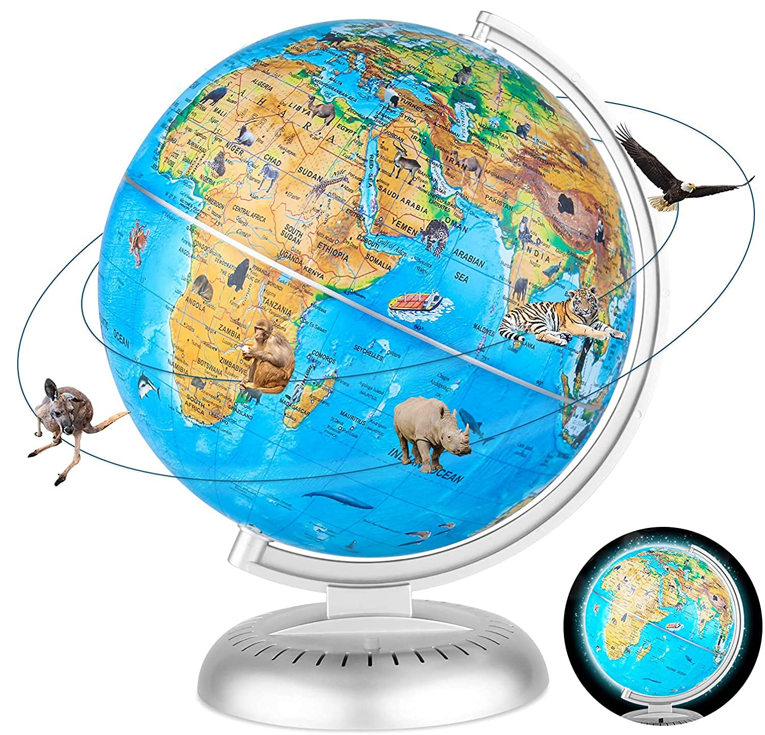 Wizdar Illuminated Globe with Stand World Globe for Kids Learning with LED Night Light 3 in 1 Interactive Globes with Animal Pattern Light up Earth Globe Decoration for Home, Desk, Classroom-8 Inch