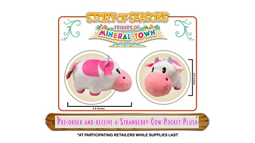 Story of Seasons: Friends of Mineral Town - Xbox One