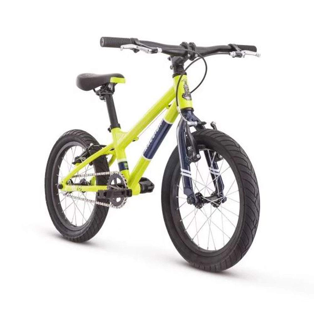 Raleigh Bikes Rowdy 20 Kids Bike for Boys Youth 4-9 Years Old, Green