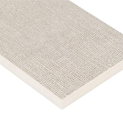 Thunderstruck Beige 4 in. x 6 in. Matte Porcelain Tile Sample