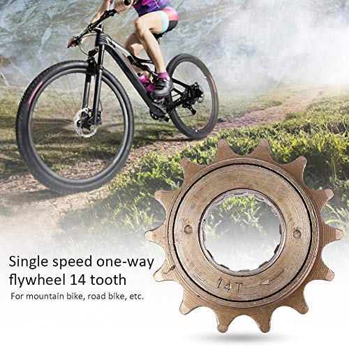 Single Speed Freewheel 14T Single Speed Freewheel Flywheel Bike Accessory for Mountain Road Folding