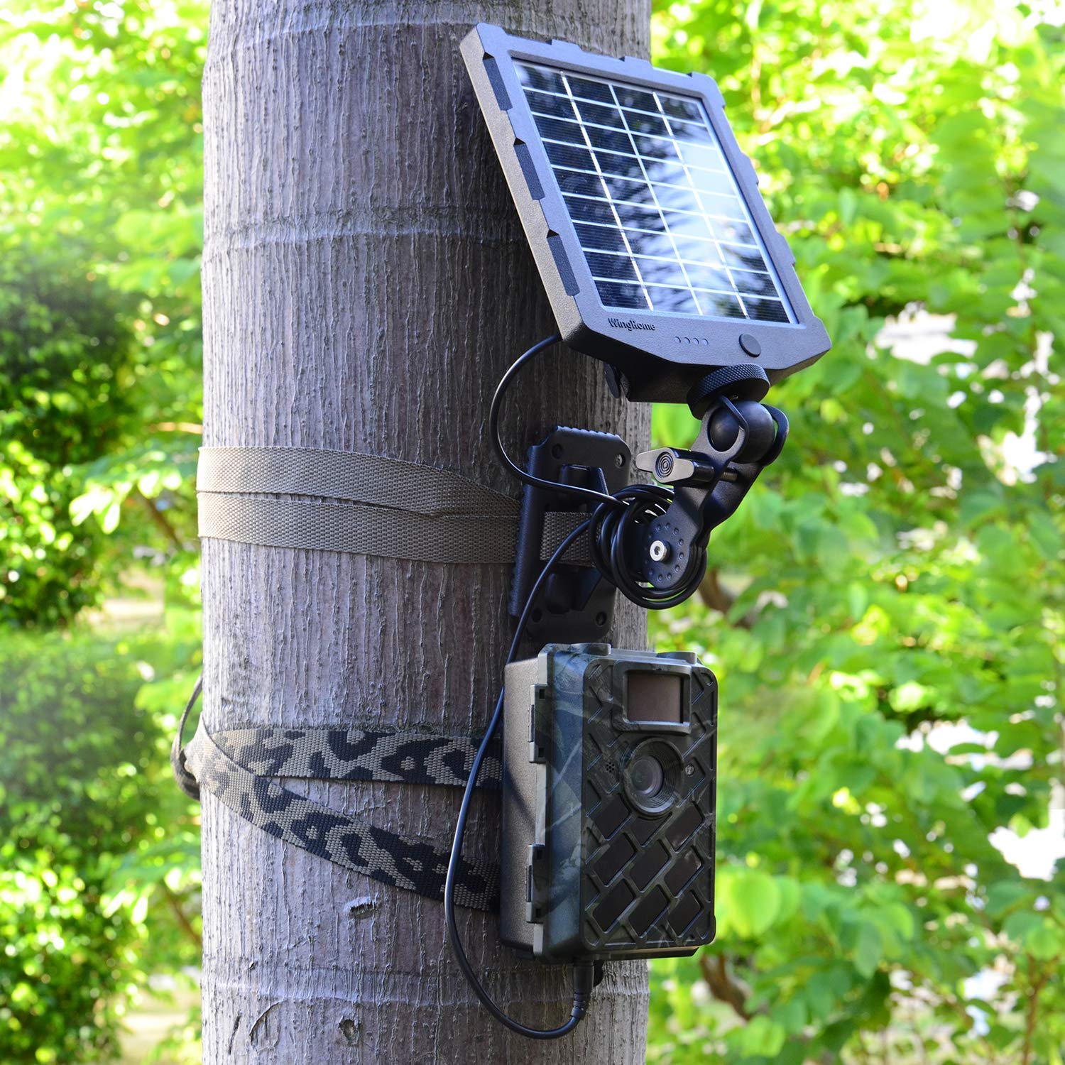 WingHome Cellular Trail Camera, Wildlife Trail Hunting Scouting Camera,Farm Monitoring IP66 Waterproof 24MP FHD 4G-LTE No Glow 1080P 0.4S Trigger with APP and SIM Card+ Trail Camera Mounting Bracket
