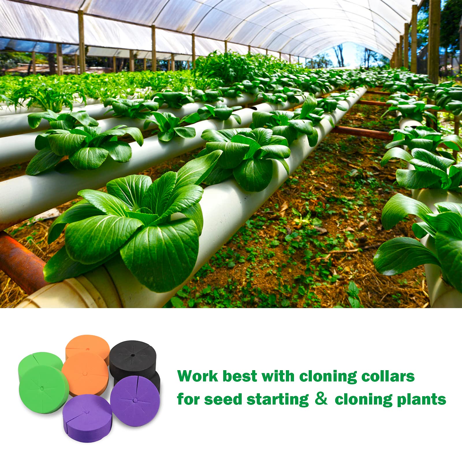 Rlioy 40 Pack Cloning Collars Inserts Premium Grade Foam, Fits 2 Inches Net Pots, for Hydroponics, Cloning, DIY Cloner and Clone Machines (40 Pack)