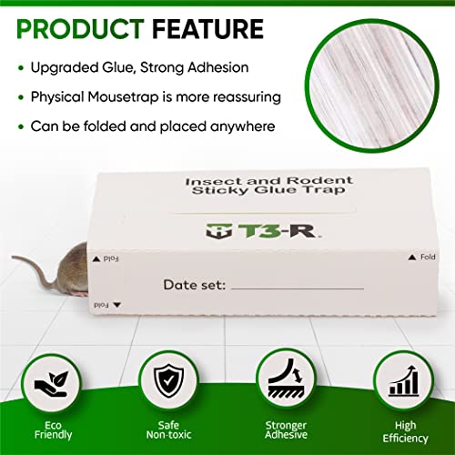 T3-R Sticky Large Rat & Mice Glue Traps | Mouse and Insect Glue Boards | Disposable Non-Toxic Glue Traps for Mice and Rats | Peanut Butter Scent Sticky Traps (36 Pack)