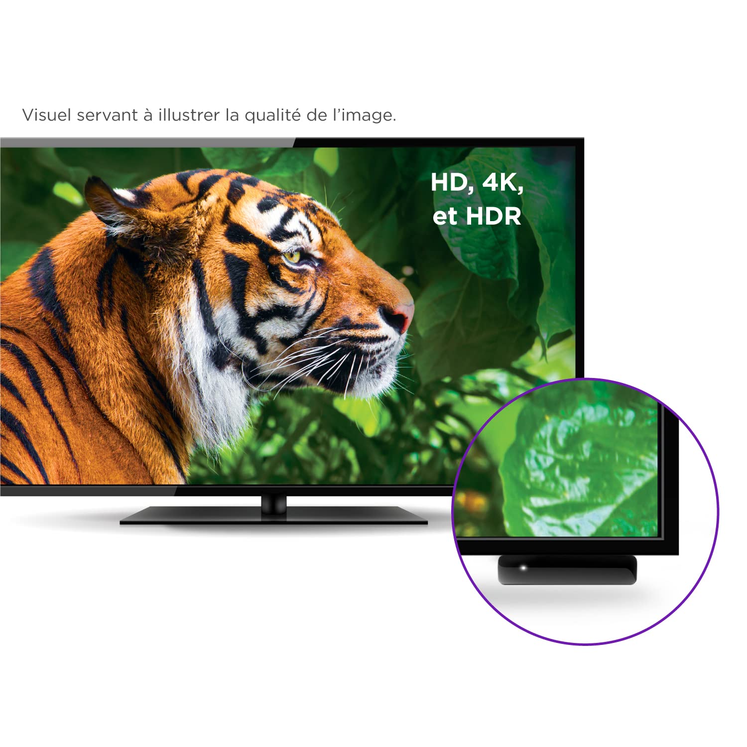 Roku Premiere | HD/4K/HDR Streaming Media Player
