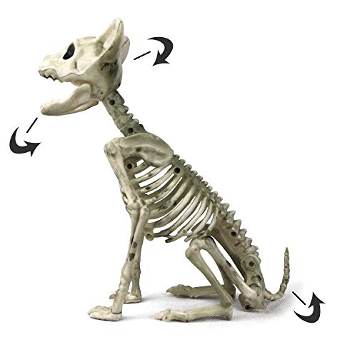 Supremask Skeleton Cat, Plastic Crouching and Sitting Cat Skeleton, Creepy Animal Bones for Halloween Decoration (Sitting)