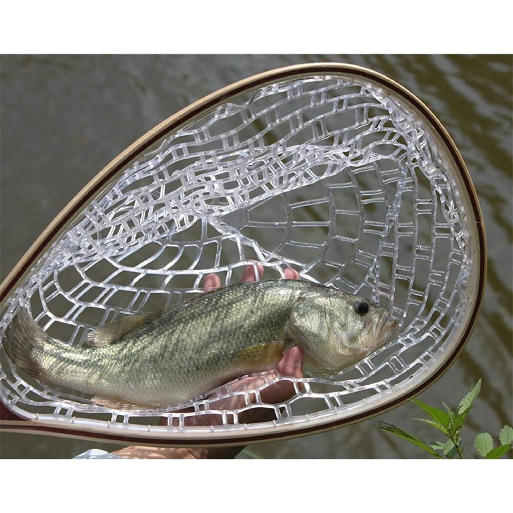ZLVWB Fishing Net Durable Soft Rubber Landing Handle Trout Mesh Fish Catch and Release of Fishing Tool (Color : OneColor)