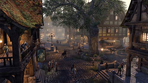 The Elder Scrolls Online Collection: Blackwood (PS4)