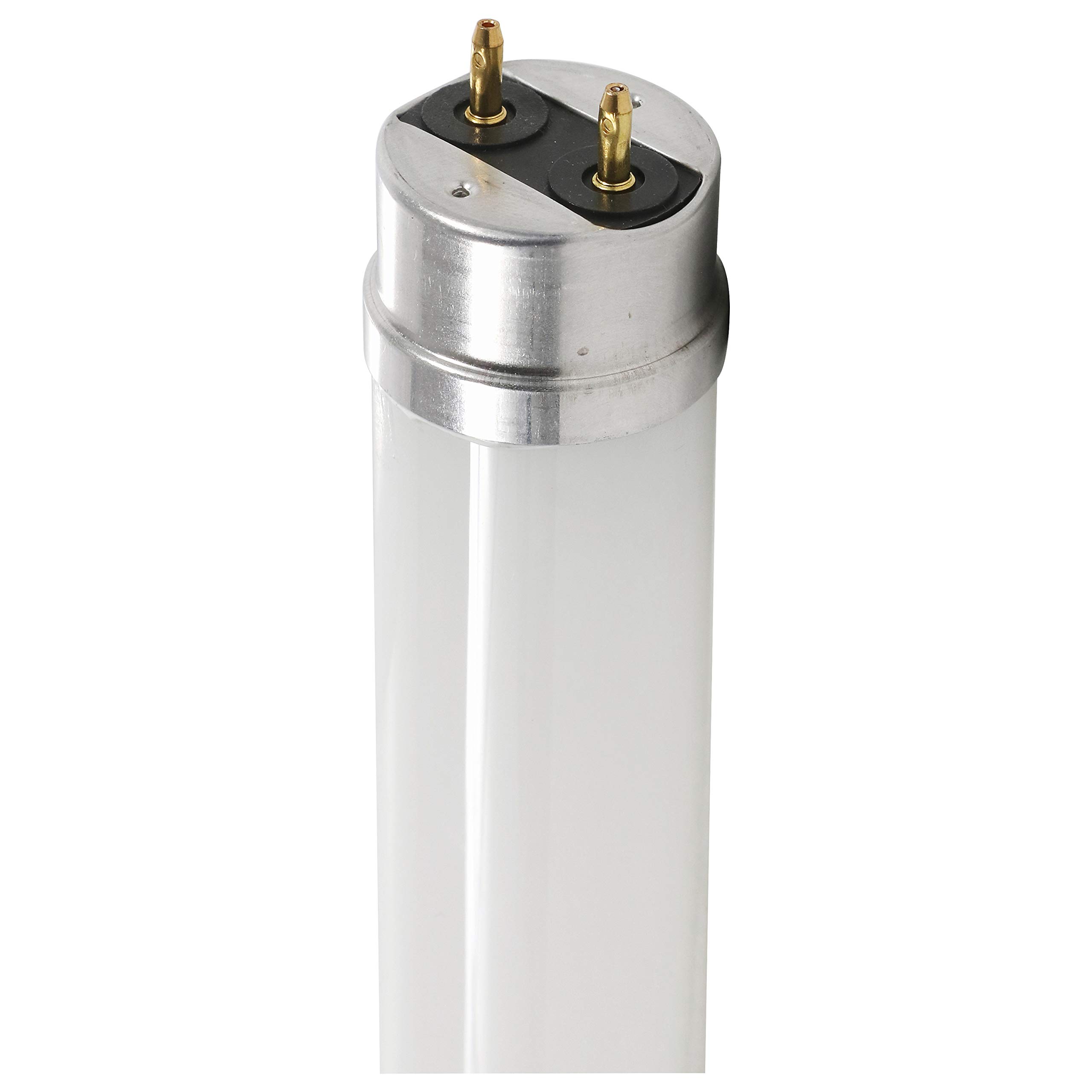SYLVANIA 4' SubstiTUBE IPS 15W LED T8 Linear Lamp, Non-Dimmable, 2200 Lumens, 4100K, White (40641)