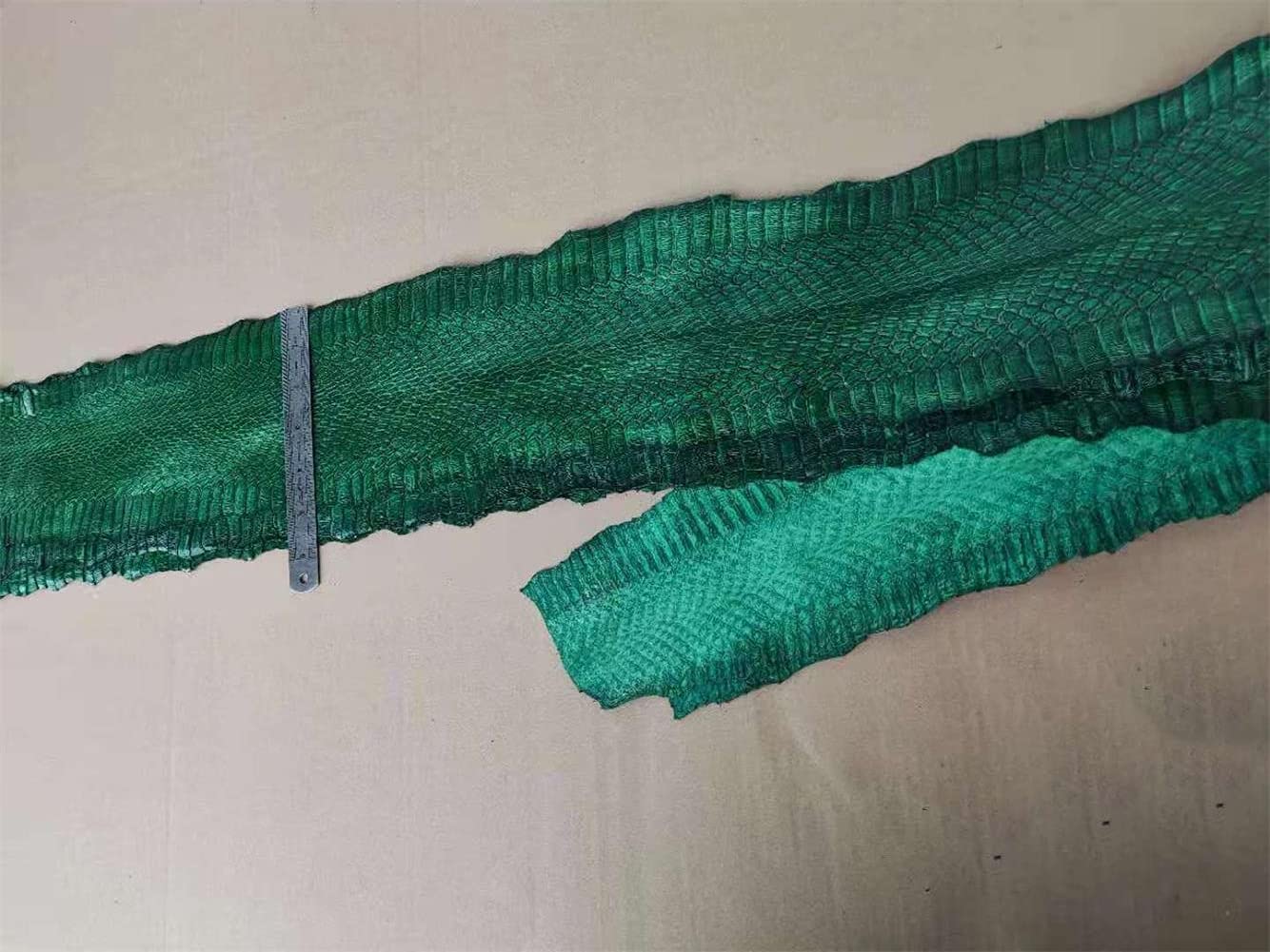 Snake Skin Snakeskin Pieces Assorted Colors Hide Leather Natural 47in (Green)