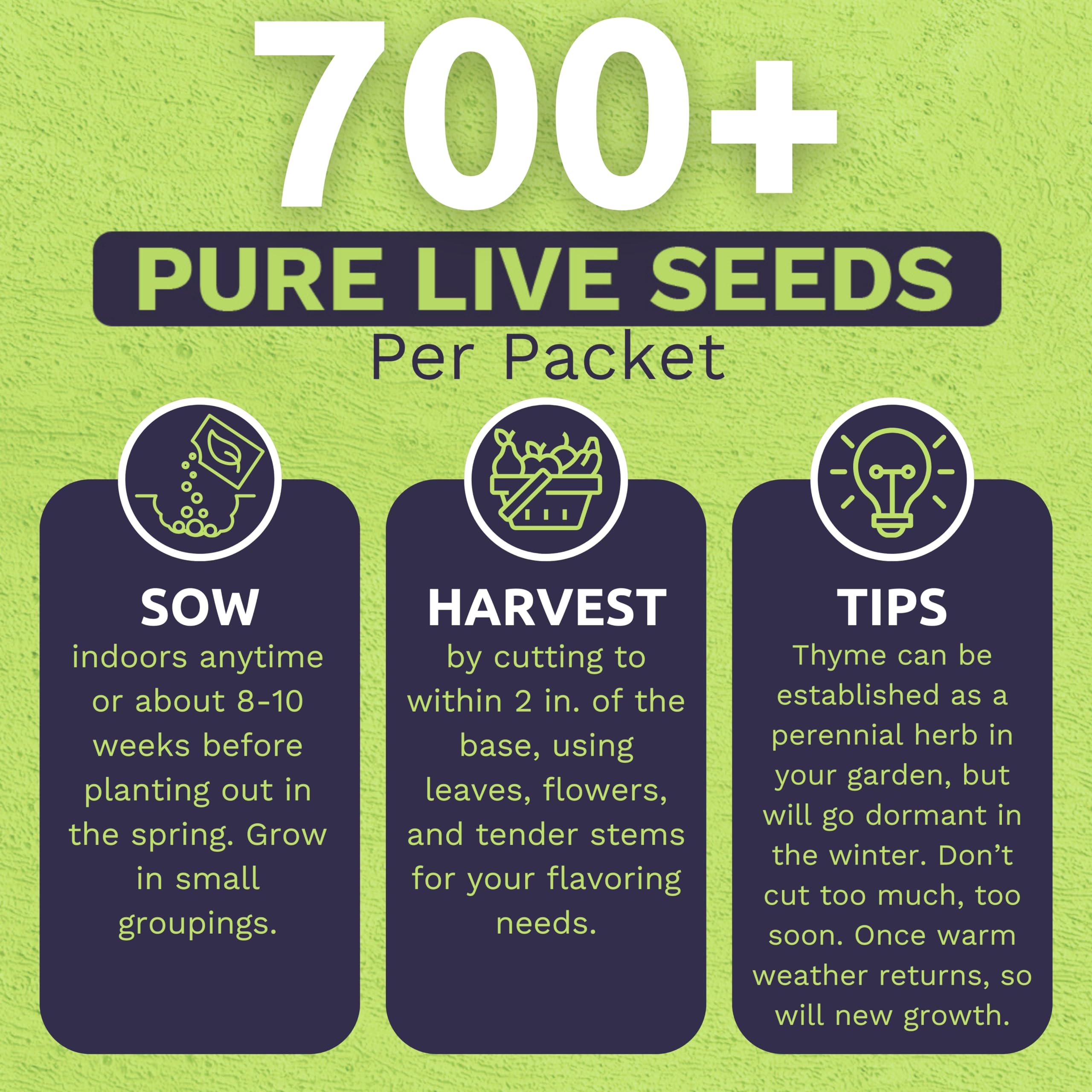 Organic English Thyme Seeds β Seed Packet of Over 8000 Open Pollinated Non-GMO Seeds β Sweet Yards Seed Co.
