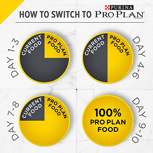 Purina Pro Plan High Protein, Cognitive Health Dry Dog Food, Chicken & Rice Formula - 16 lb. Bag
