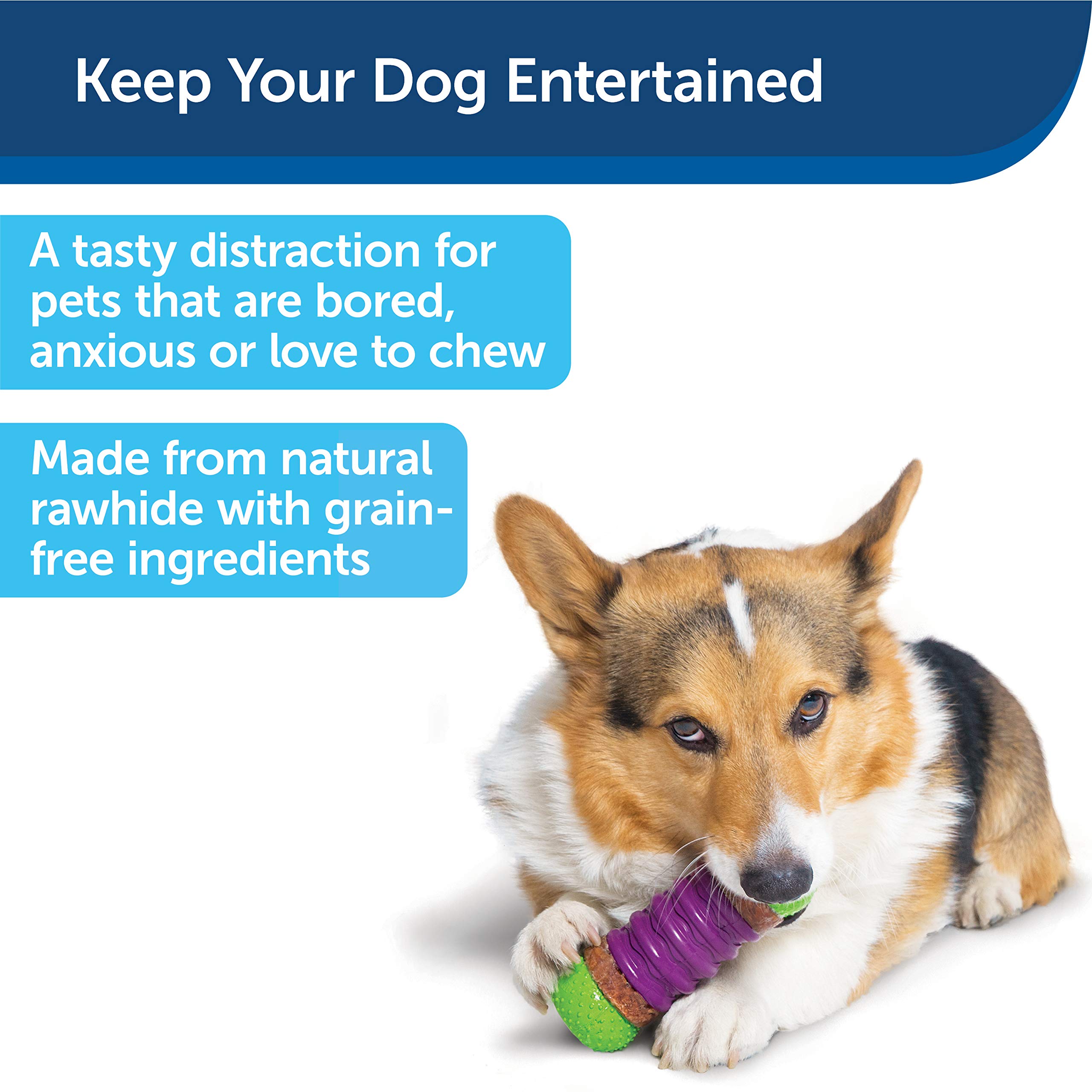 PetSafe Busy Buddy Ultra Stratos Treat Ring Dog Toy β Ultra Thick Treat Rings β Medium