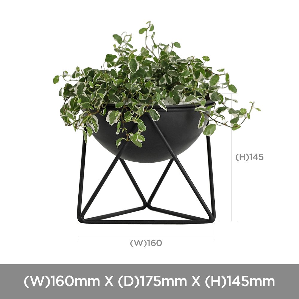 Roomnhome Mono Plant pot stander with Iron Frame and Plastic Pot Holder(D-type/5"/Black)