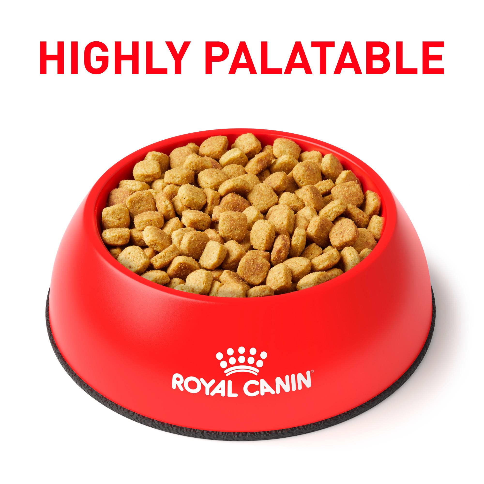 Royal Canin Canine Ultamino Dry Dog Food, 19.8 lb