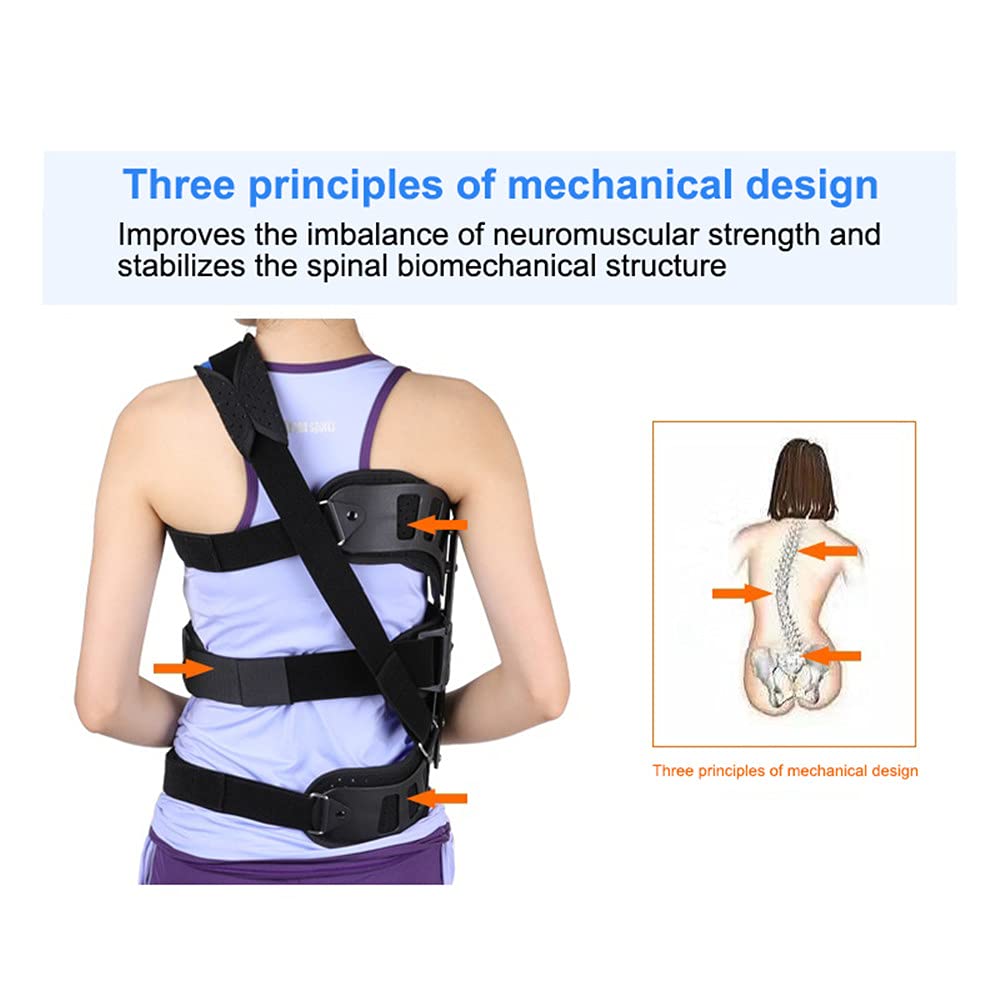 Scoliosis Posture Corrector Adjustable Spinal Auxiliary Orthosis for Back Postoperative Recovery Men and Women Adults