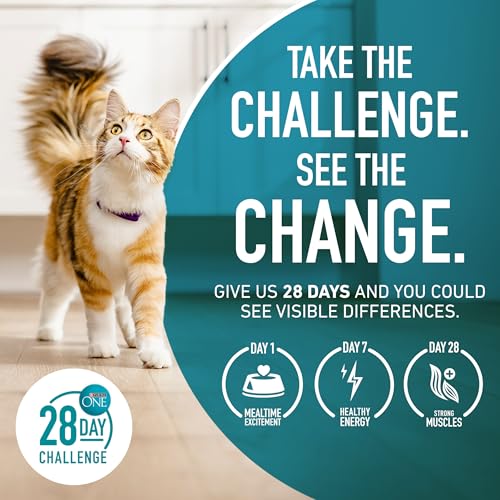 Purina ONE Natural, High Protein, Grain Free Dry Cat Food, True Instinct With Real Ocean Whitefish - 6.3 lb. Bag