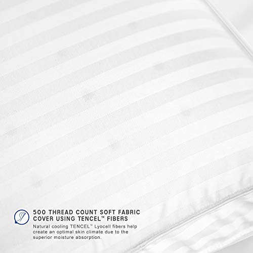 SensorPEDIC Ultra Comfort Transcend Memory Foam Jumbo Bed Pillow, Standard (Pack of 1), White