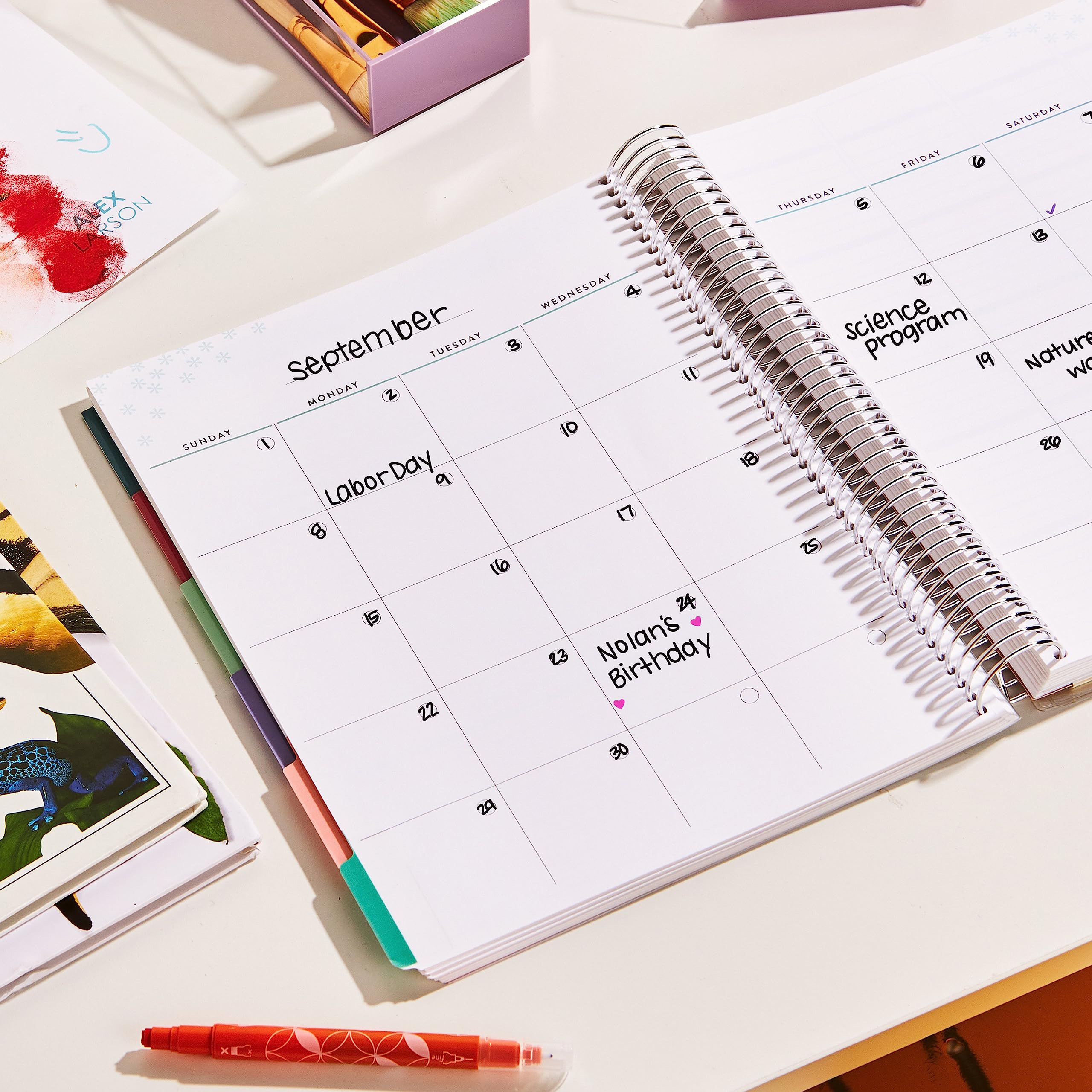 Undated Homeschool Planner 8.5" x 11" Platinum Spiral 12-Month. Layers Colorful Classic Cover by Erin Condren