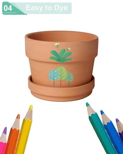 vensovo 5.7 Inch Terracotta Shallow Succulent Pot - 6 Pack Terra Cotta Clay Pots with Saucer, Cacuts Terra-Cotta Indoor and Outdoor Planters with Drainage Hole